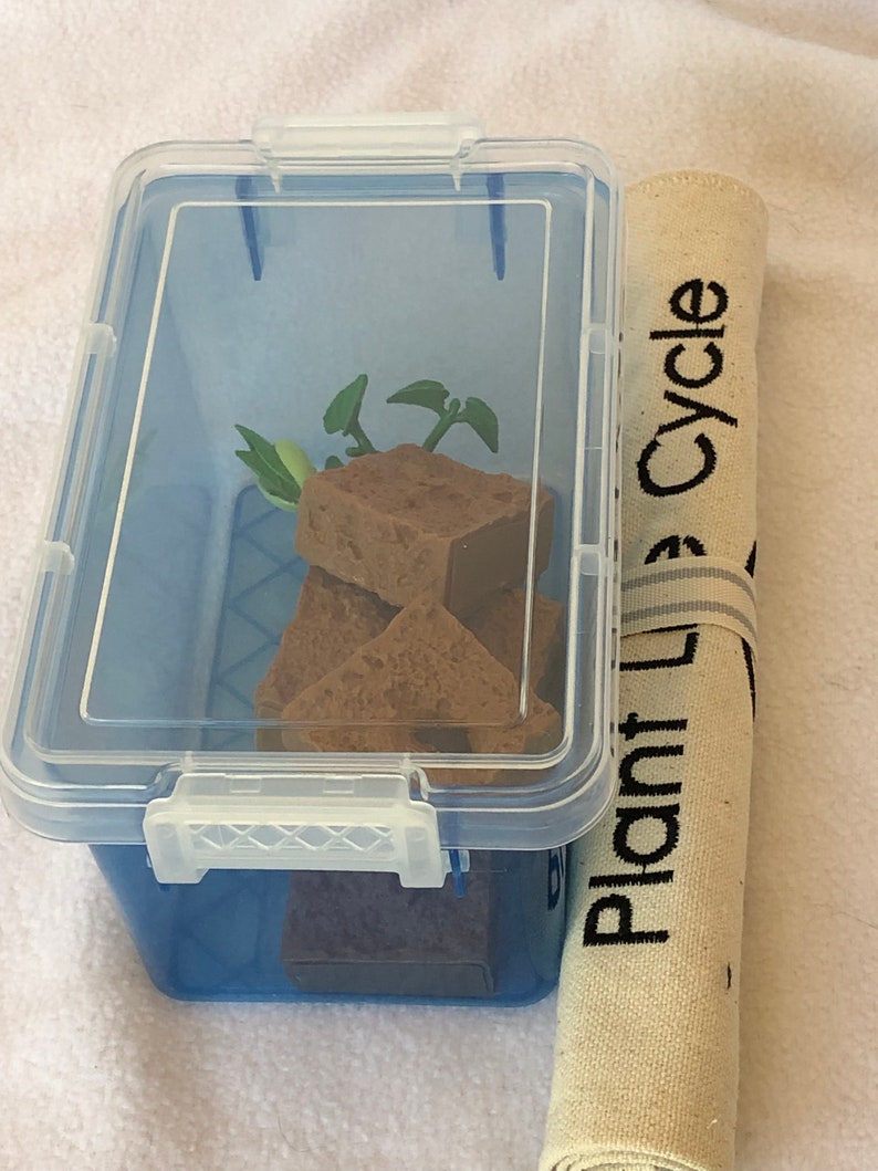 Seed to Plant Growing Sorting Mats Science ALL MATERIALS - Etsy