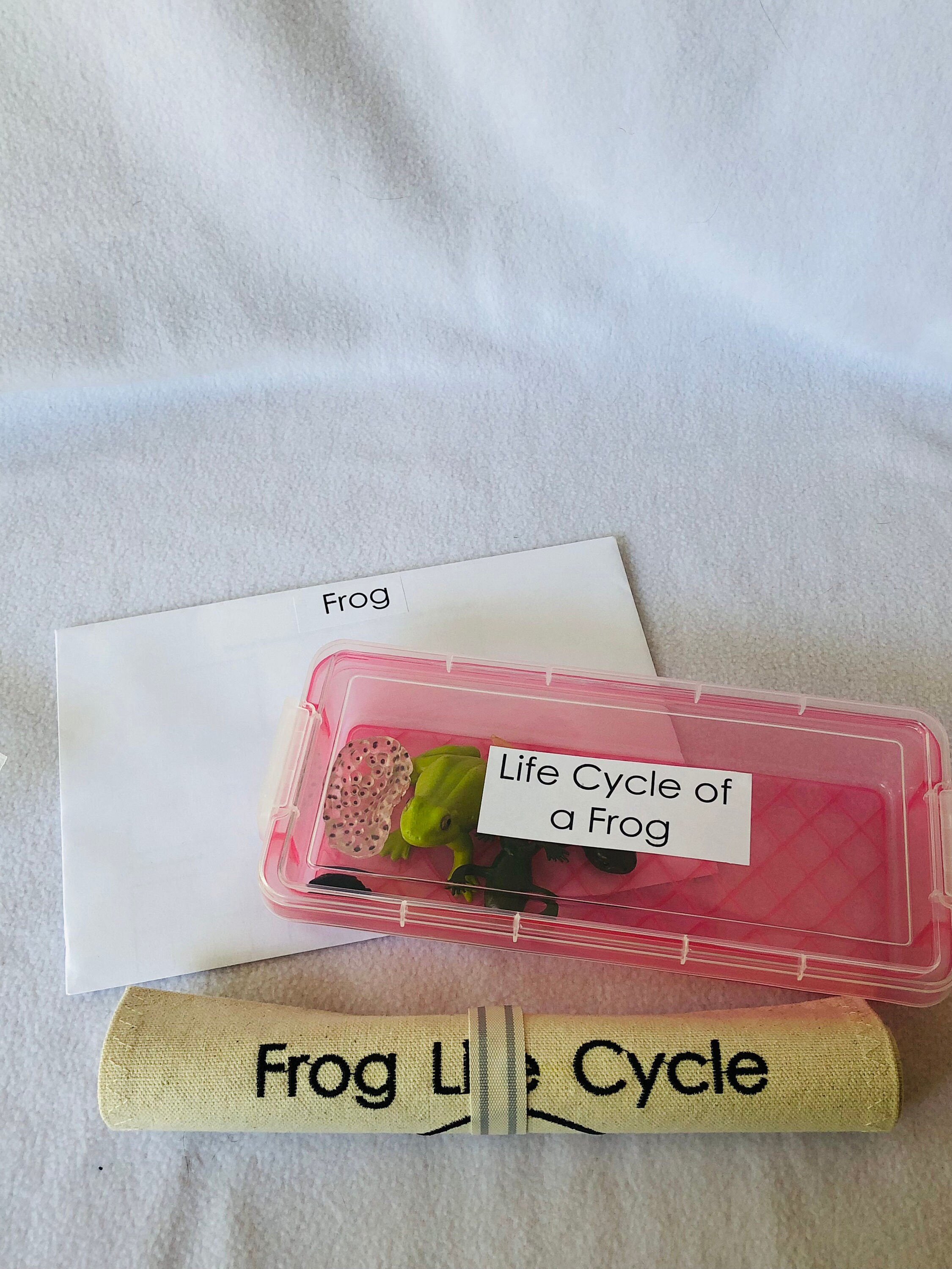 Frog Life Cycle - ALL ITEMS INCLUDED Montessori Sorting Mats - Science ...