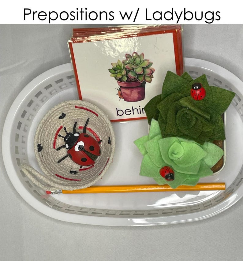 Prepositions With Ladybugs/succulents OR Bee/bee Hive- Montessori ...