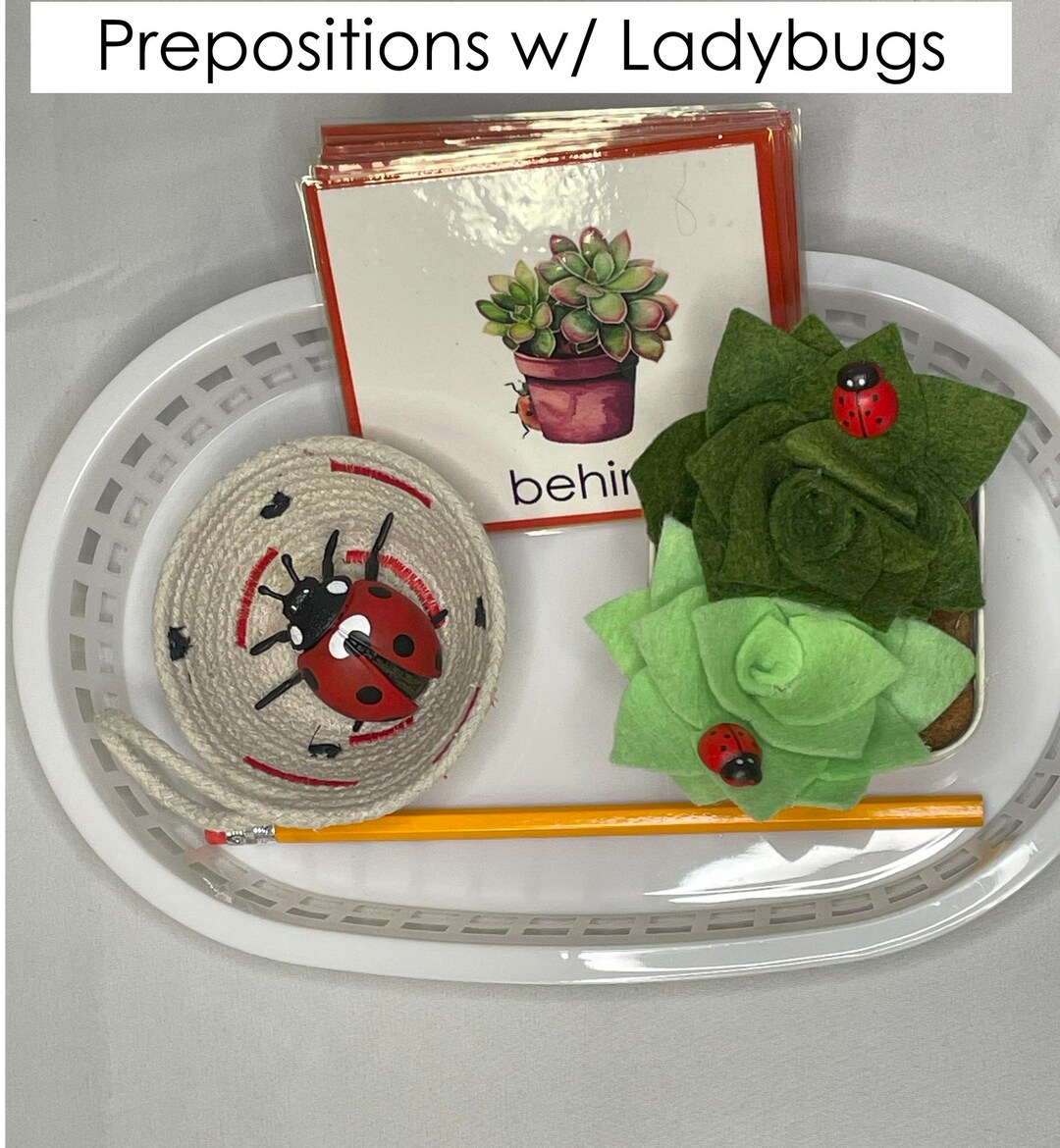 Prepositions With Ladybugs/succulents OR Bee/bee Hive- Montessori ...