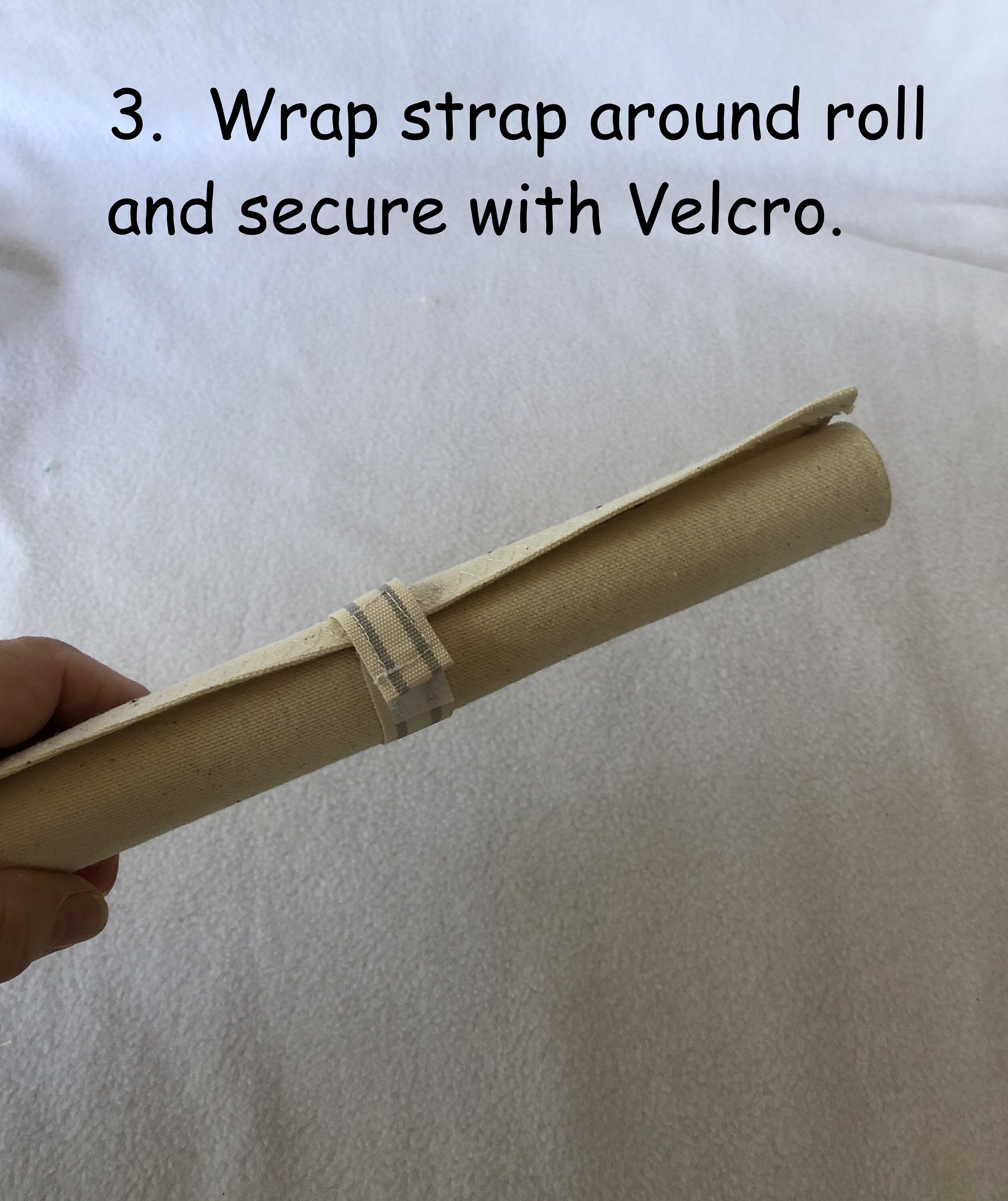 Living/non-living, Plants/animals, Vertebrates/invertebrates ALL ITEMS ...