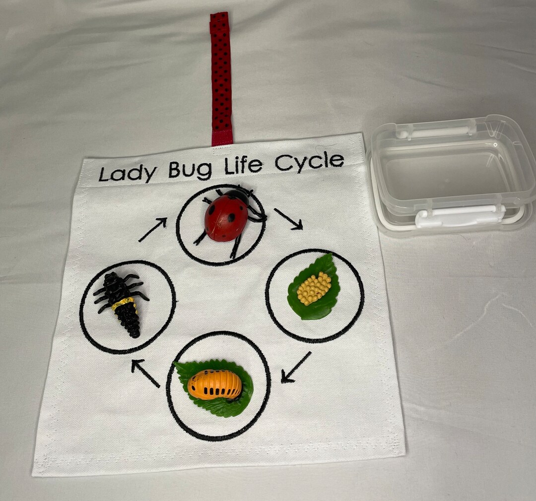 Ladybug Life Cycle - ALL ITEMS INCLUDED Montessori Sorting Mats ...