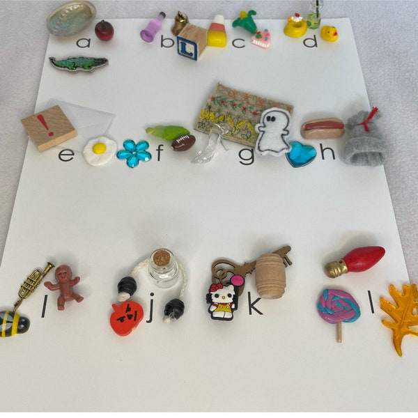 Montessori Phonetic Objects - Etsy