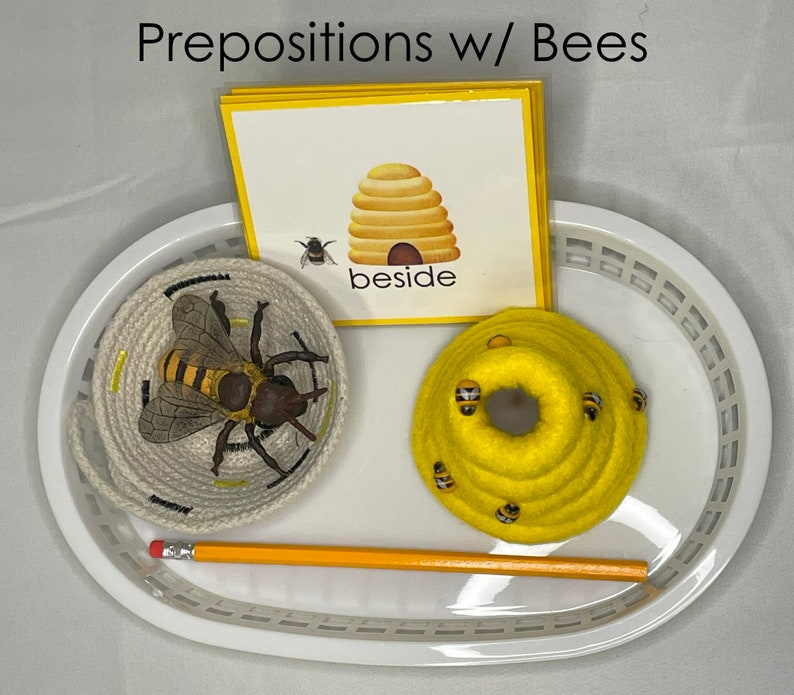 Prepositions With Ladybugs/succulents OR Bee/bee Hive- Montessori ...