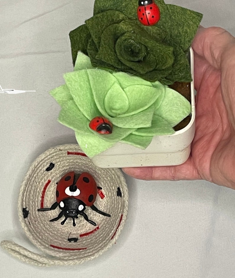 Prepositions With Ladybugs/succulents OR Bee/bee Hive- Montessori ...