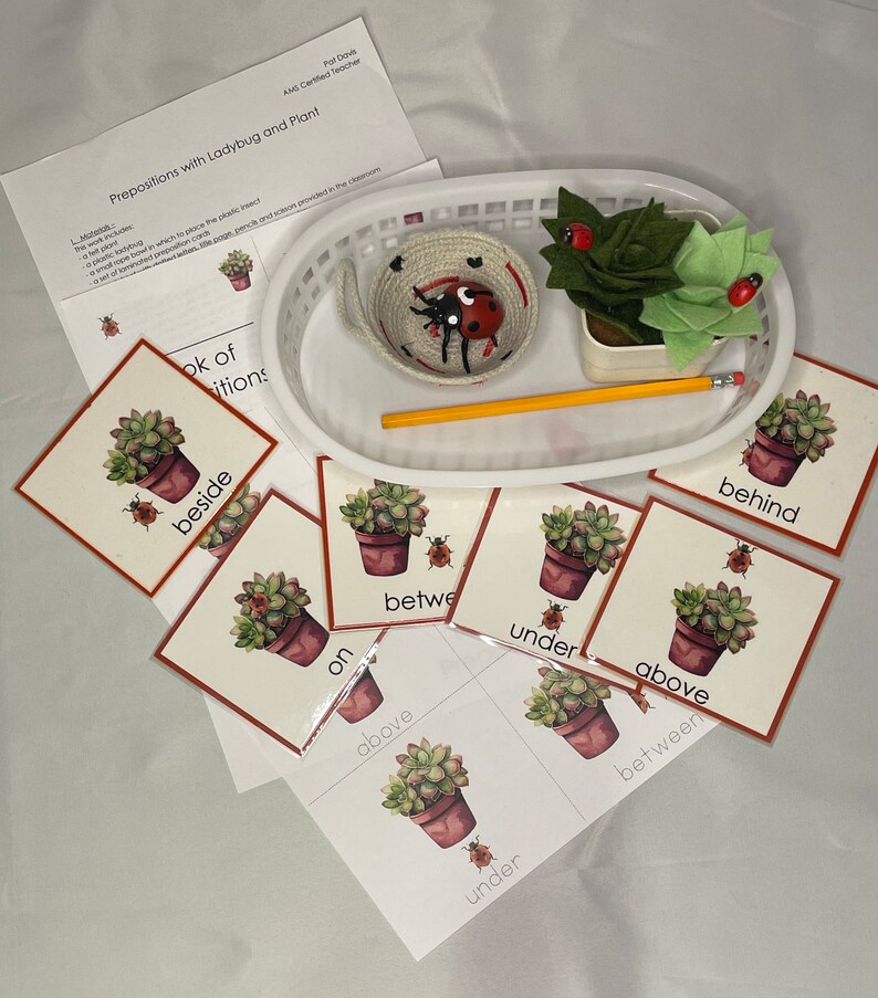 Prepositions With Ladybugs/succulents OR Bee/bee Hive Montessori Home ...