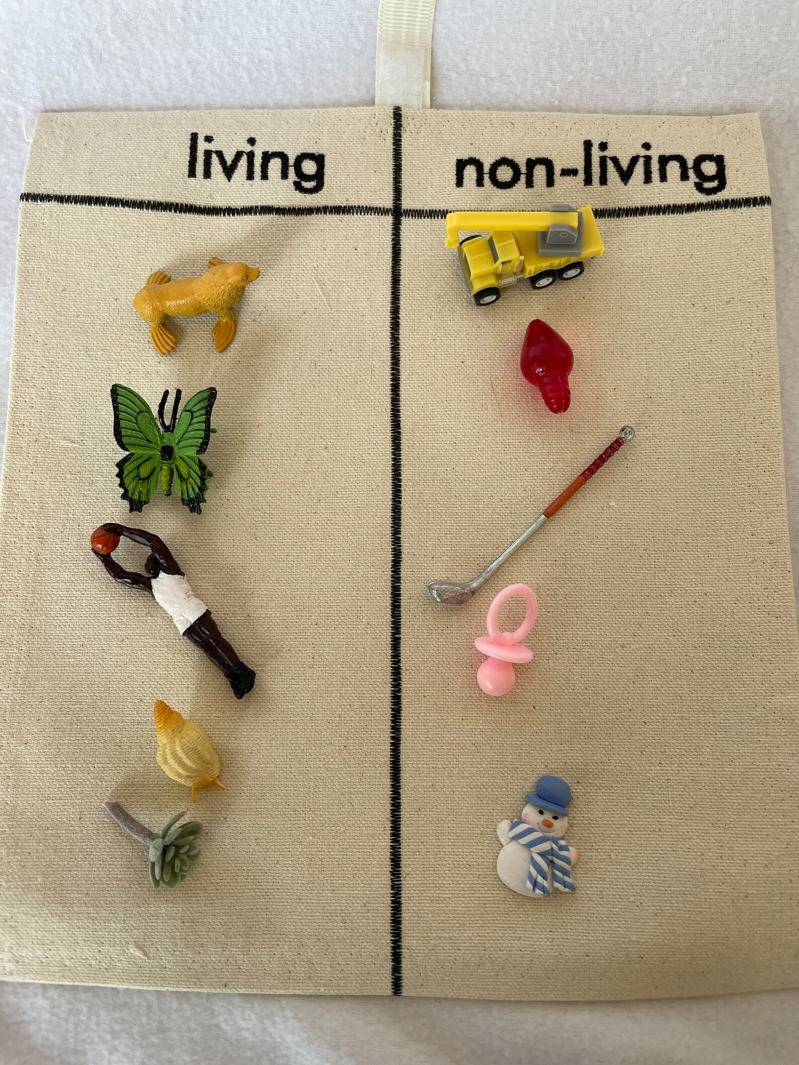 Living/non-living, Plants/animals, Vertebrates/invertebrates ALL ITEMS ...