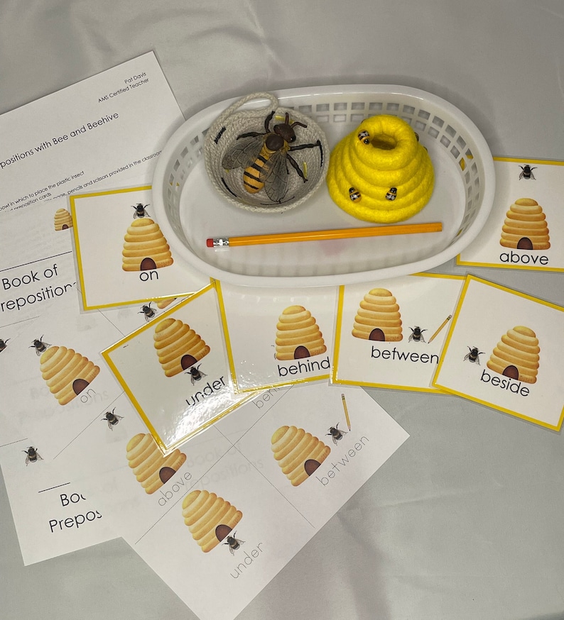 Prepositions With Ladybugs/succulents OR Bee/bee Hive Montessori Home ...