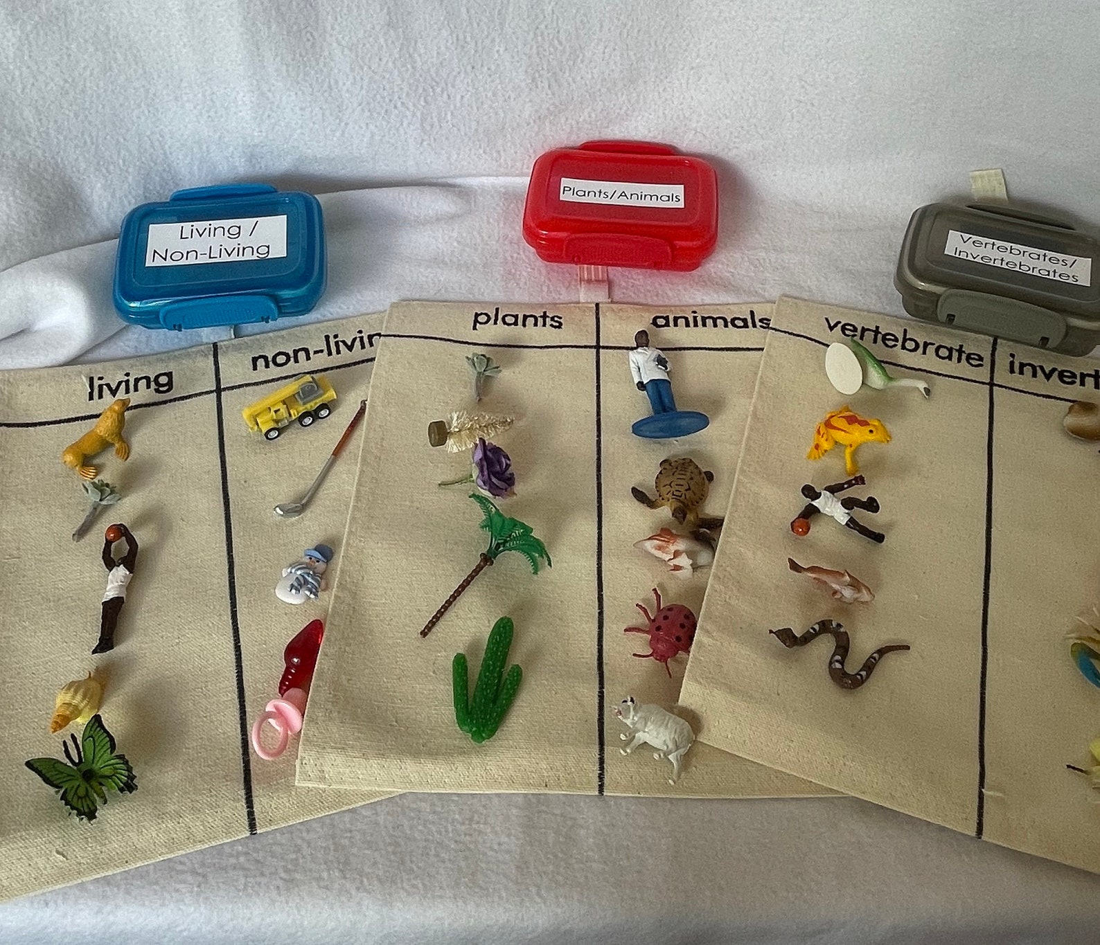 Living/non-living, Plants/animals, Vertebrates/invertebrates ALL ITEMS ...