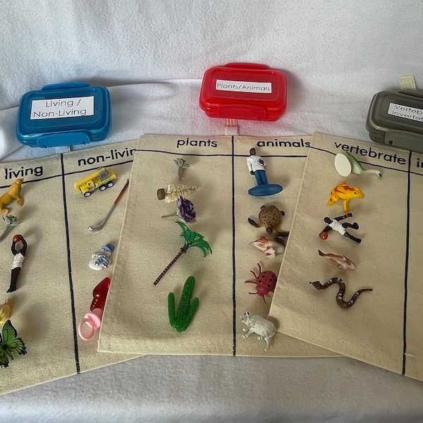 Montessori MATH Activities Monitoring Record Sheet Scope and Sequence ...