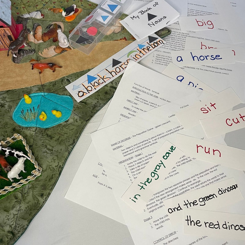 Montessori Grammar - Etsy