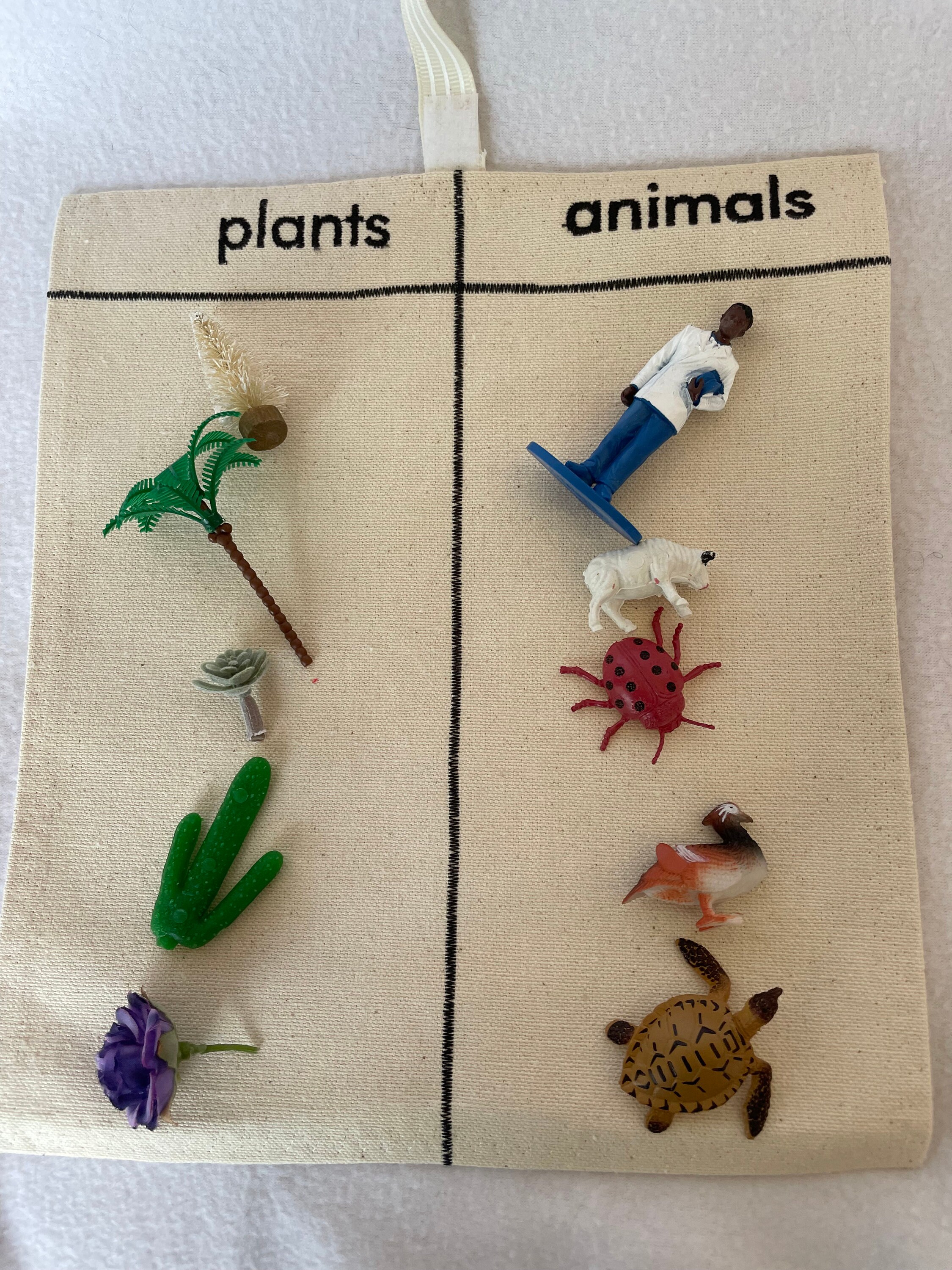 Living/non-living, Plants/animals, Vertebrates/invertebrates ALL ITEMS ...