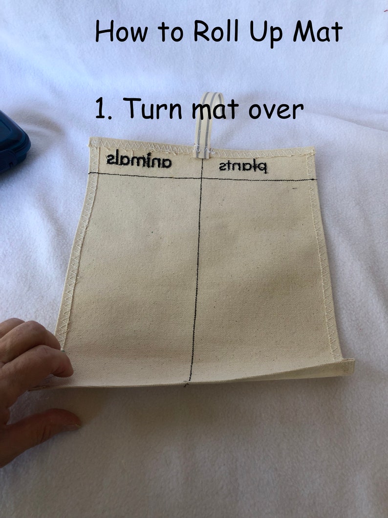 Living/non-living, Plants/animals, Vertebrates/invertebrates ALL ITEMS ...