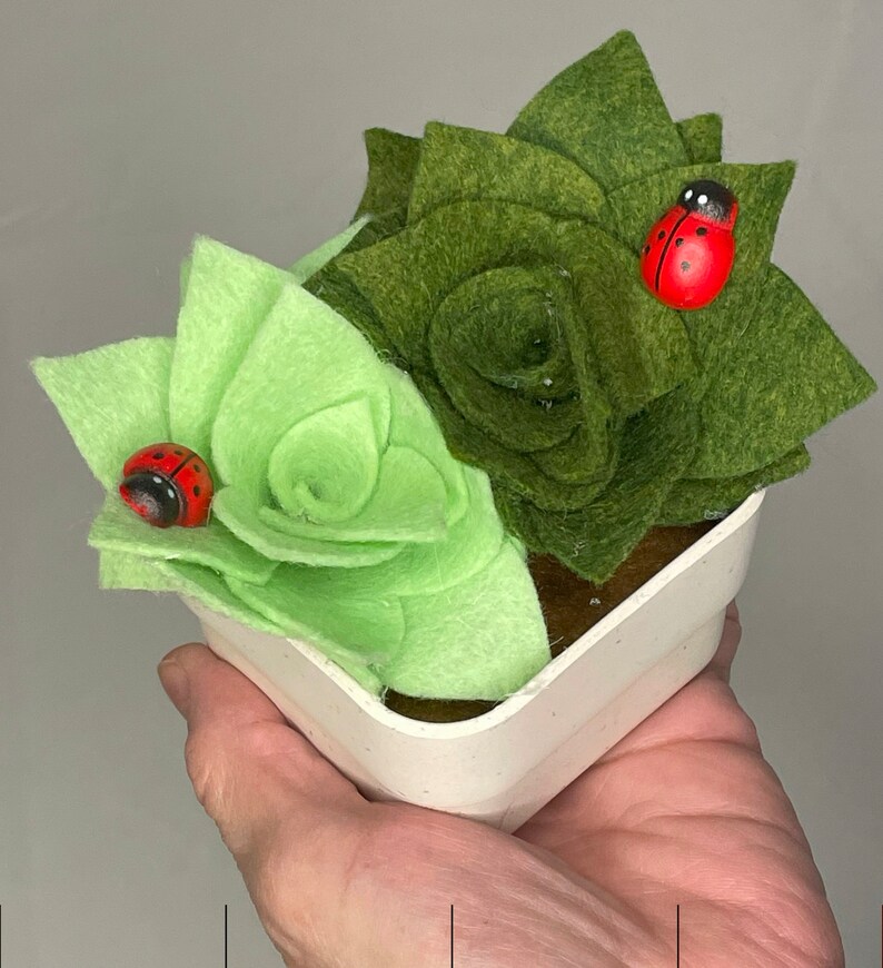 Prepositions With Ladybugs/succulents OR Bee/bee Hive- Montessori ...