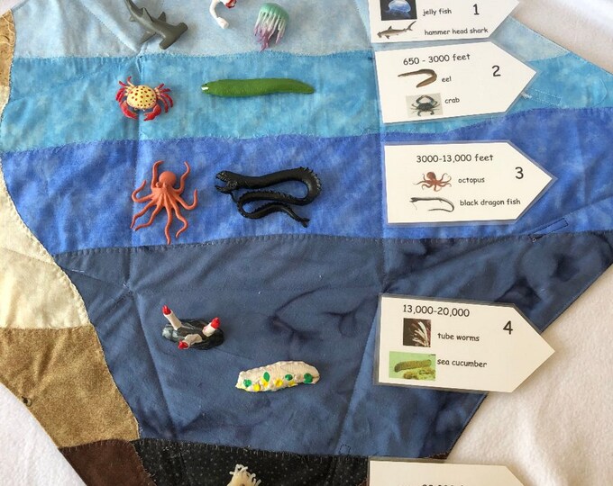 Montessori Materials - Ocean Zones Activity | Layers of the Ocean - Etsy