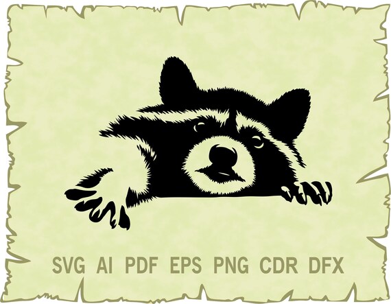 Raccoon SVG Raccoon Vector Raccoon Clipart Animal Svg - Etsy