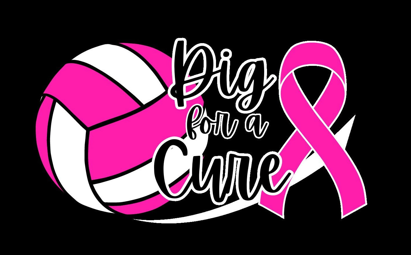 Dig for a Cure, Breast Cancer Awareness, Pink Out, Volleyball, SVG - Etsy