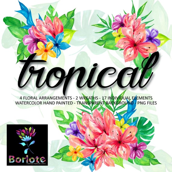 Tropical Floral Set Watercolor Flower Clipart PNG - Etsy