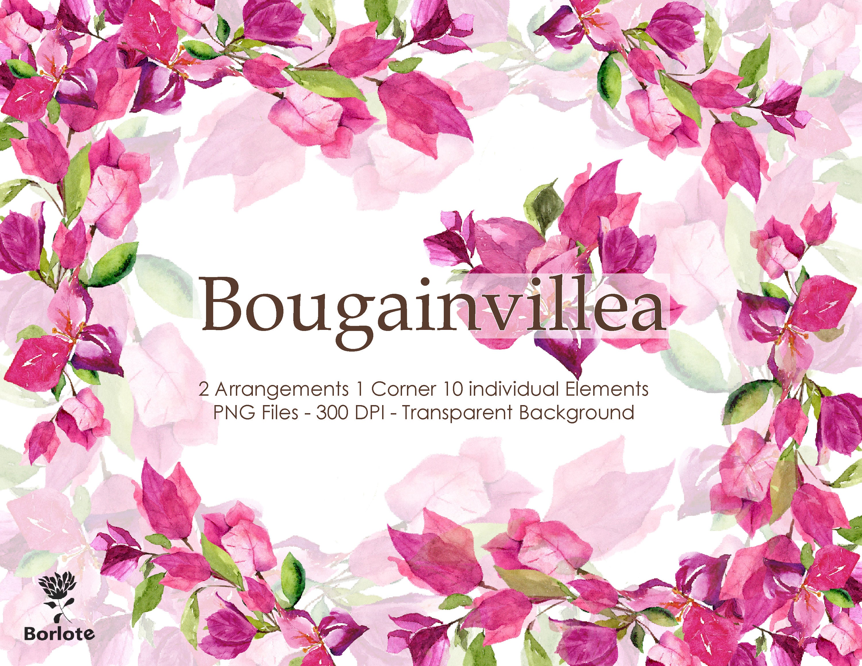 Bugambilias Birthday Cards