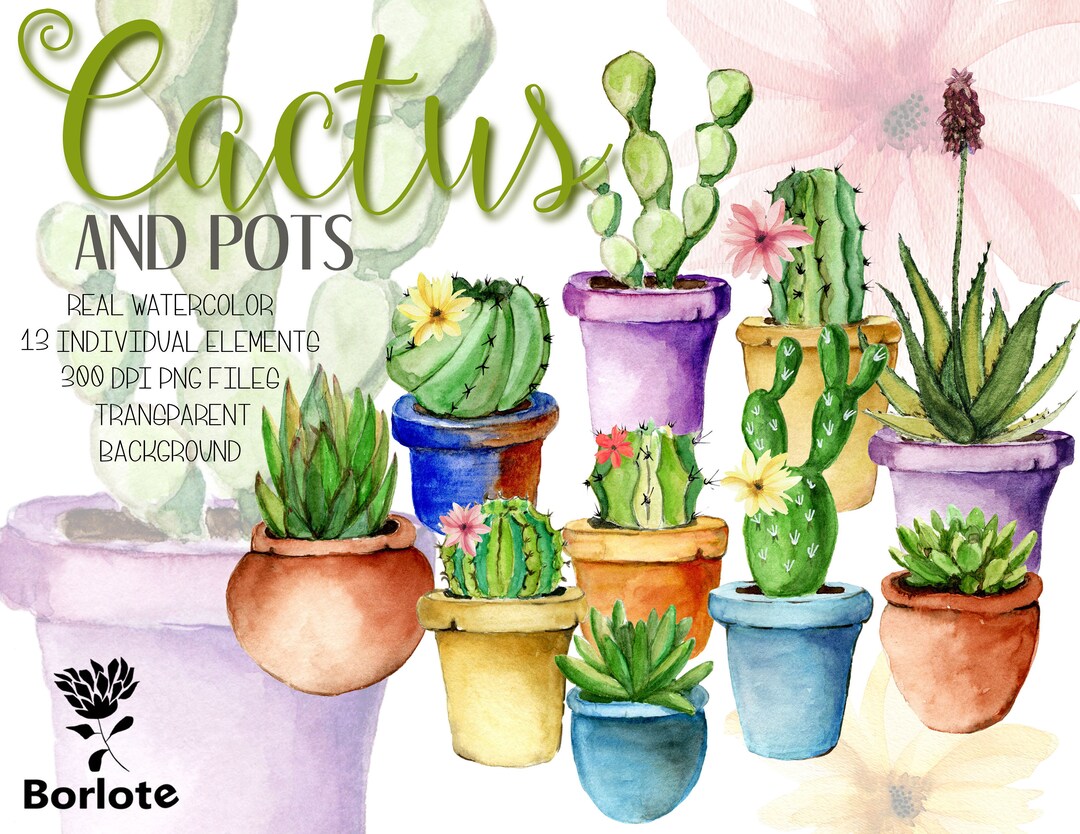 Cactus Watercolor Clipart Blooming Cactus Pots Hand Painted - Etsy