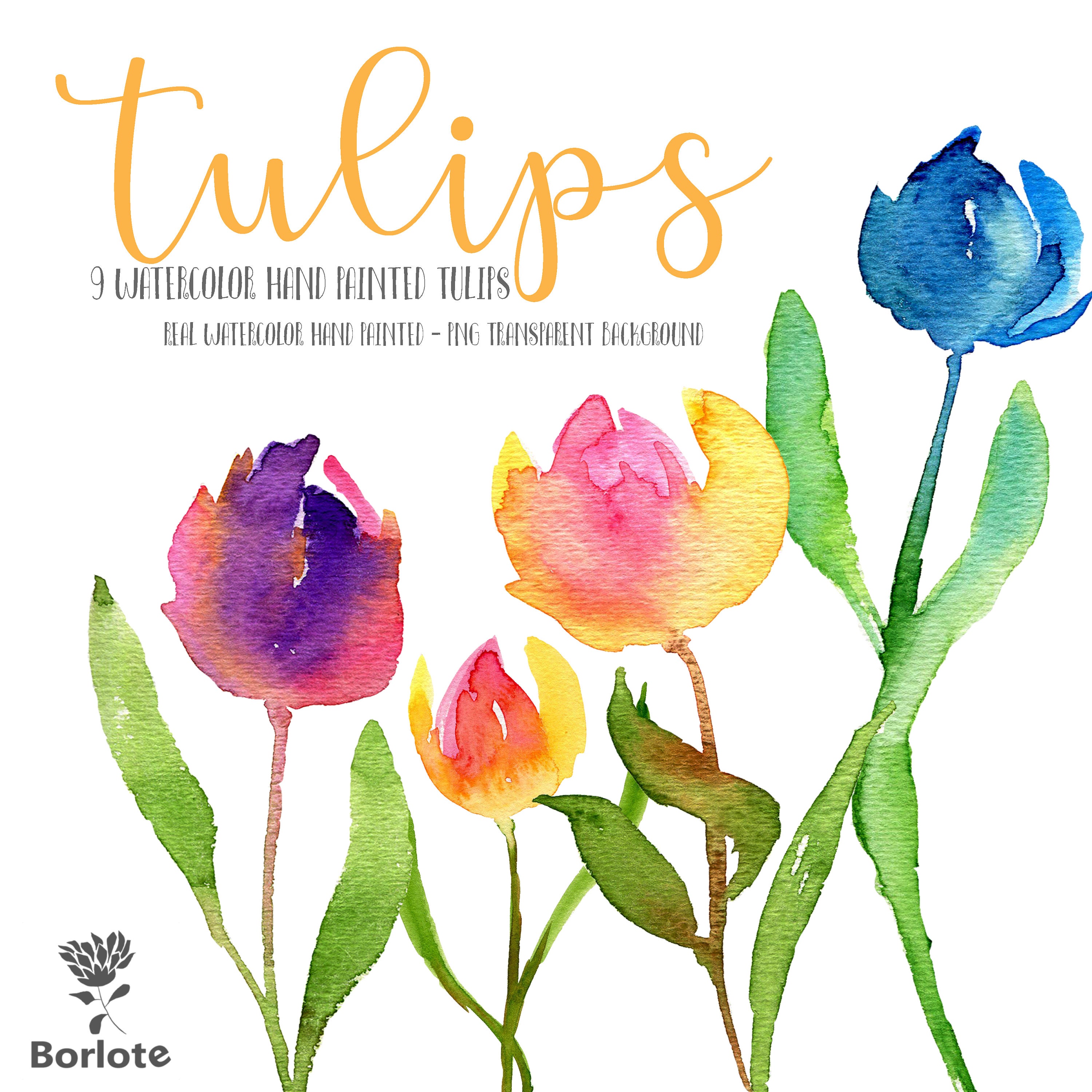 Watercolor Tulips, Watercolor Clip Art, DIY Projects, Cards ,hand ...