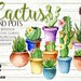 Cactus Watercolor Clipart Blooming Cactus Pots Hand Painted - Etsy