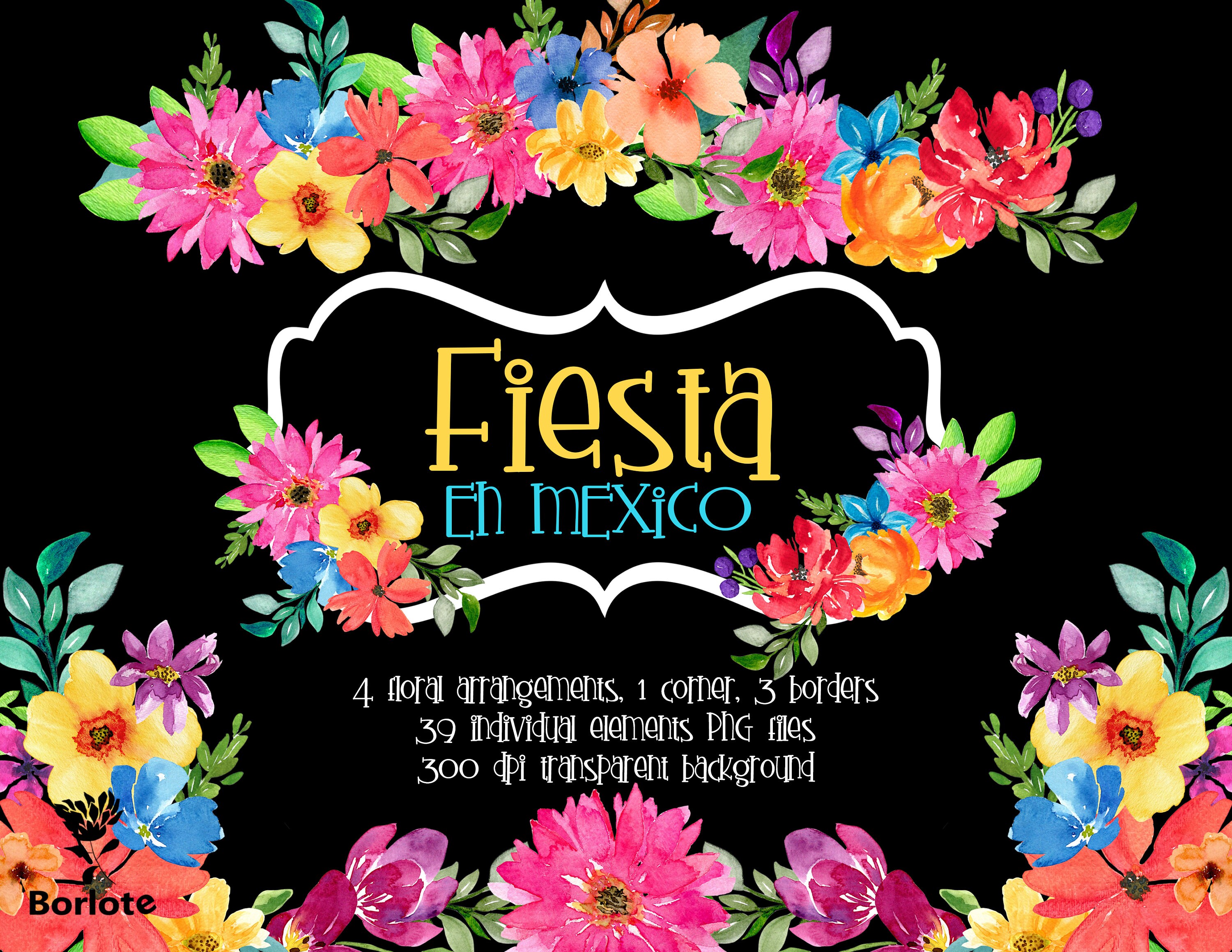 Mexican Fiesta Border