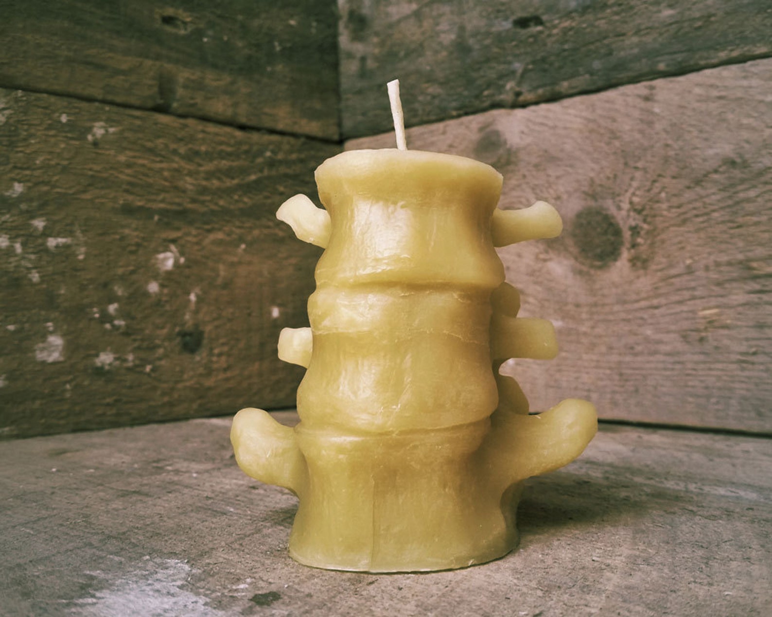 Beeswax Human Spine Candles larger Set of 3 - Etsy UK