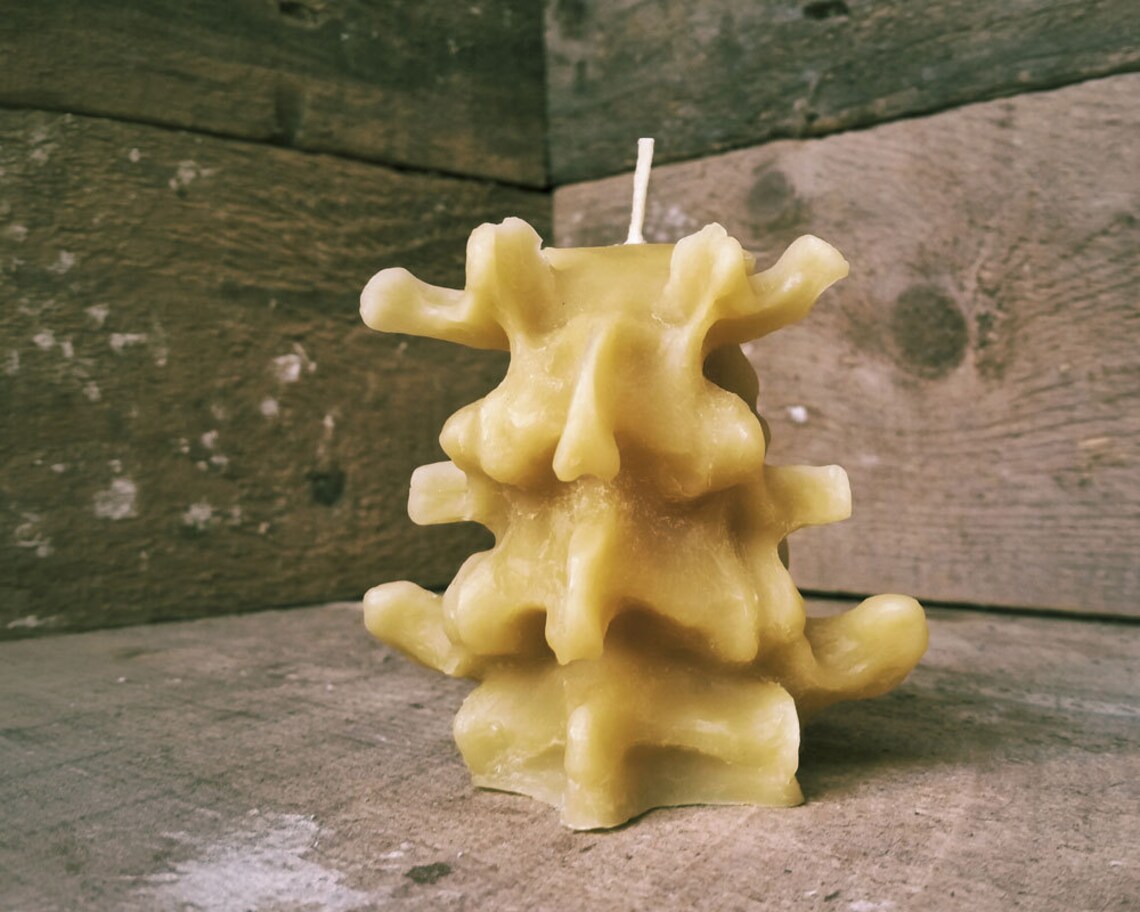 Small Human Spine Candle Spooky Beeswax Halloween Candle - Etsy
