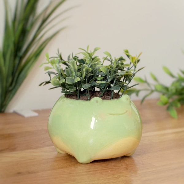 Frog Planter - Etsy
