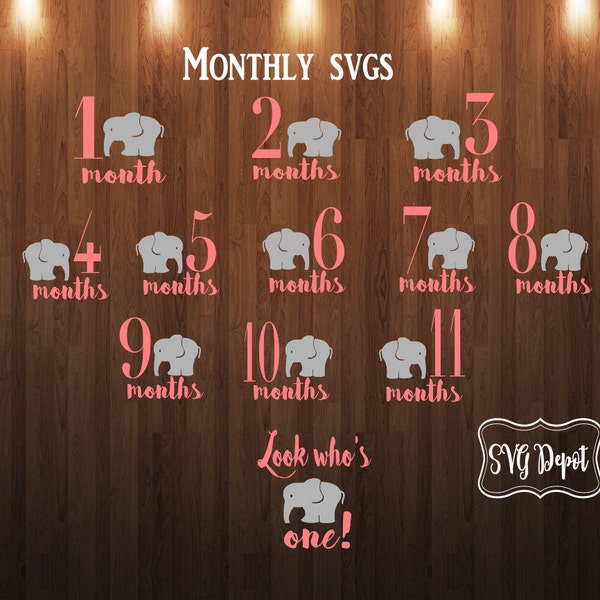 Preppy Elephant - Etsy