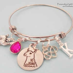 Personalized Llama Charm Bracelet, Birthday Girl Gift, Birthstone ...