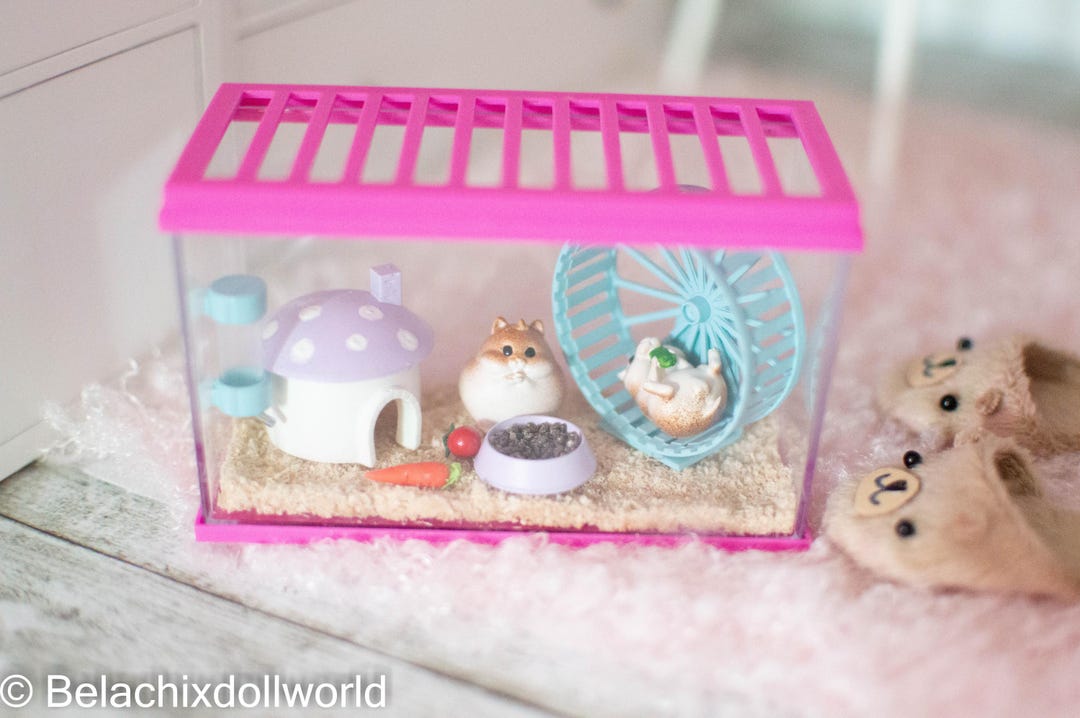 1/6, 1/4, Miniature Hamster Cage, Doll Toy, Dollhouse Miniature ...