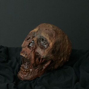 Decaying Human Skull Horror Prop - Etsy