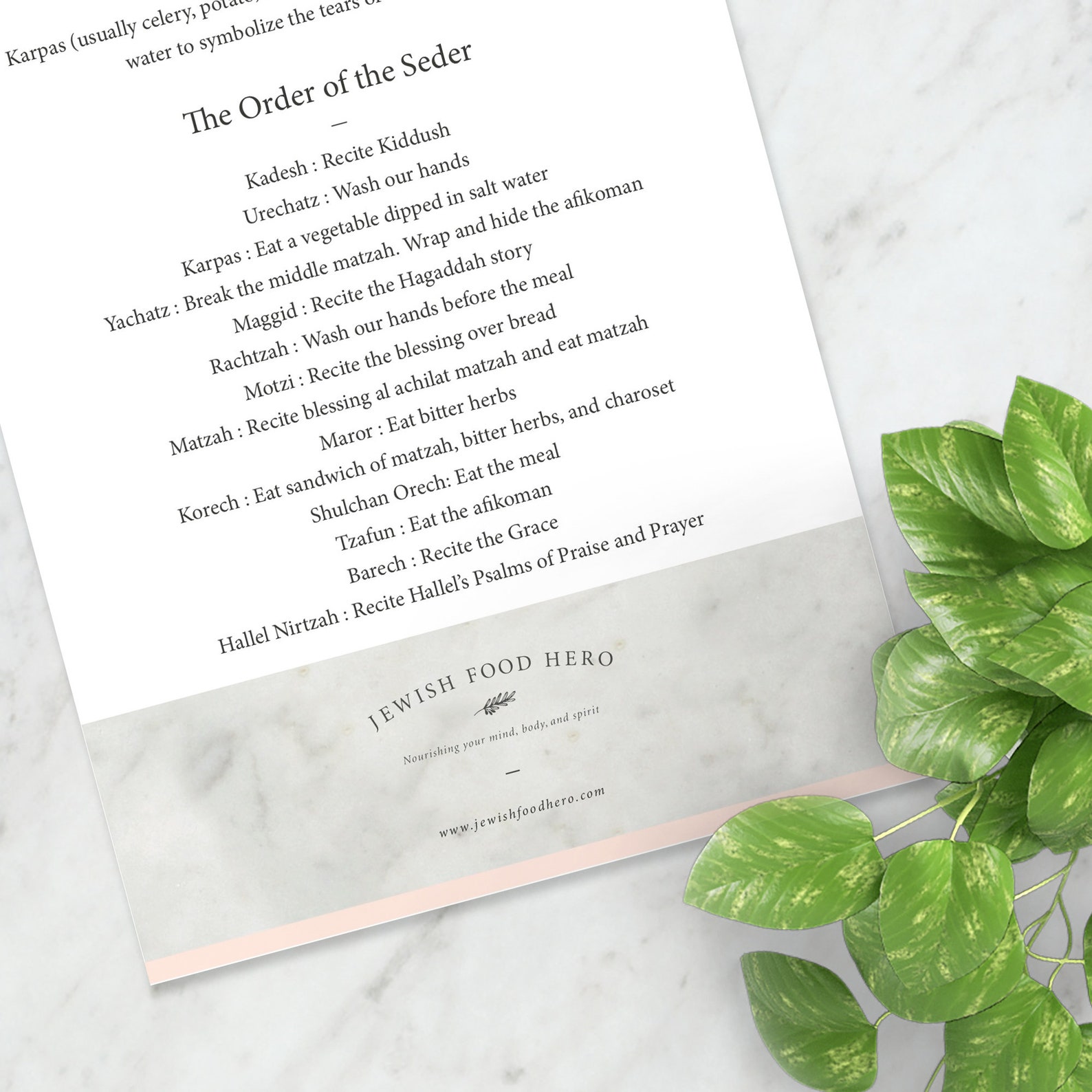 Passover Seder Guest Card: Pesach Haggadah Guide (PDF Download) - Etsy