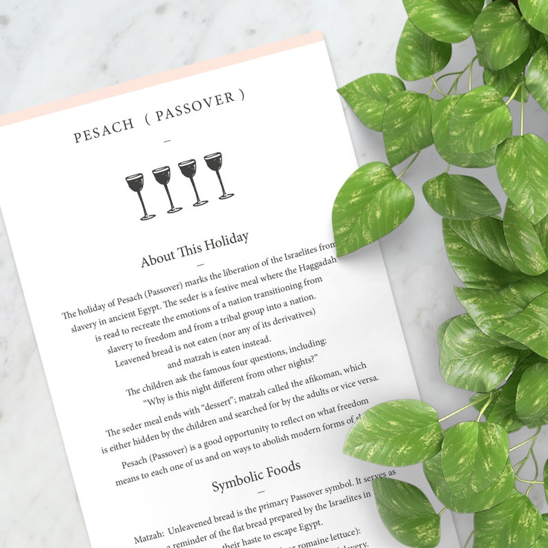 Passover Seder Guest Card: Pesach Haggadah Guide (PDF Download) - Etsy