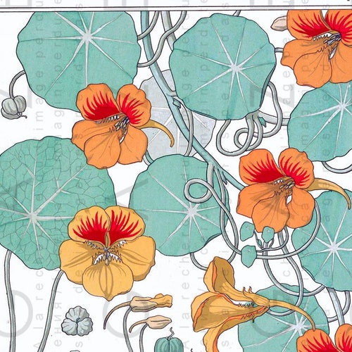 Antique French Botanical Wallpaper Art Nouveau Tulips - Etsy