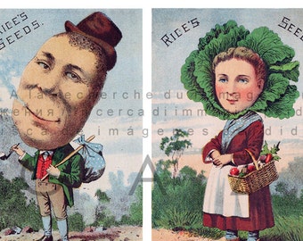 Veggie People - Etsy