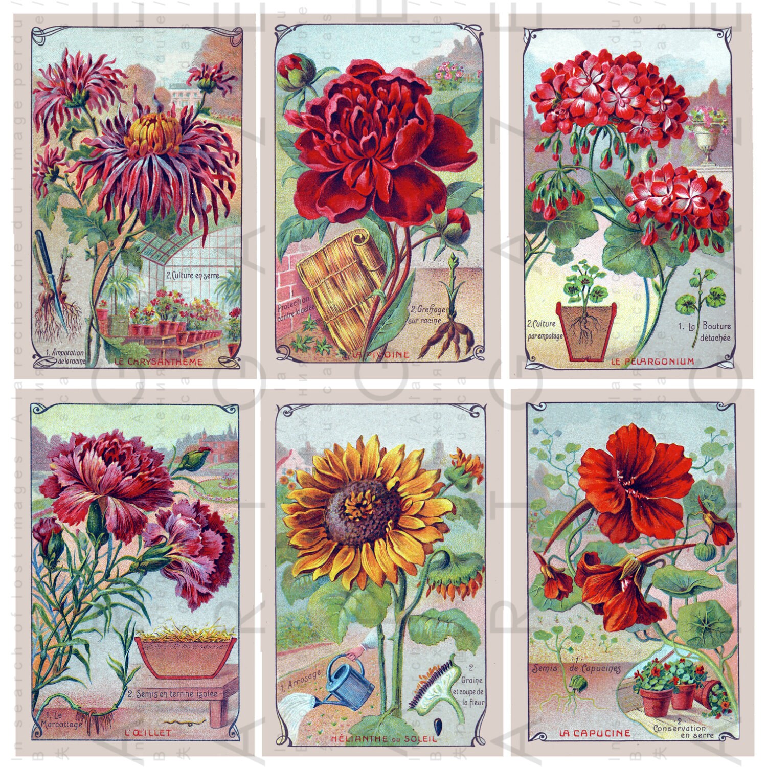 4 designs in PDF with instructions Printable Decorative Seed Packets 2 ...