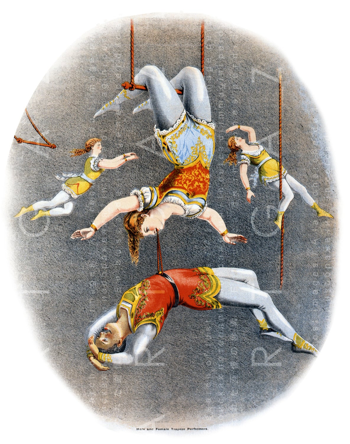 Vintage Circus Trapeze