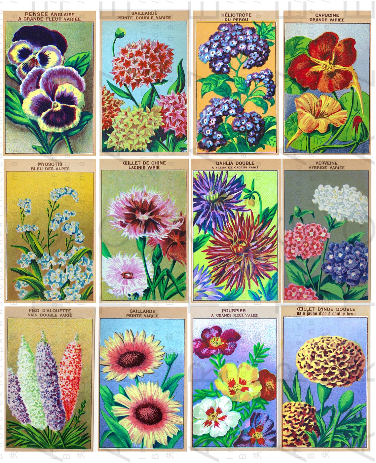 4 designs in PDF with instructions Printable Decorative Seed Packets 2 ...