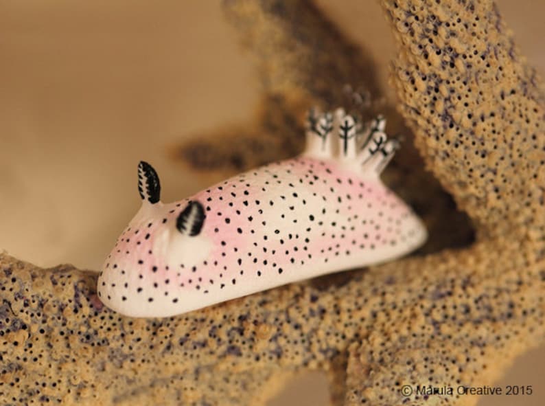 Unna the Nudibranch (jorunna Parva "sea Bunny") - Etsy