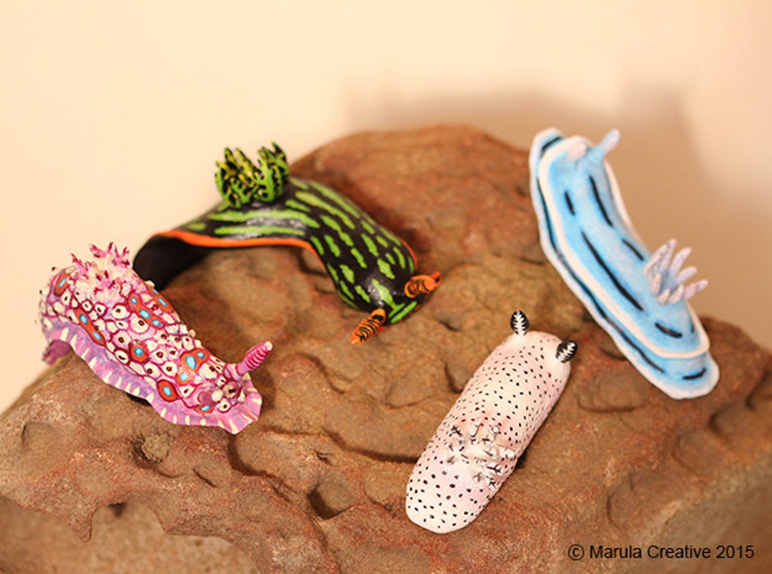 Unna the Nudibranch jorunna Parva sea Bunny | Etsy