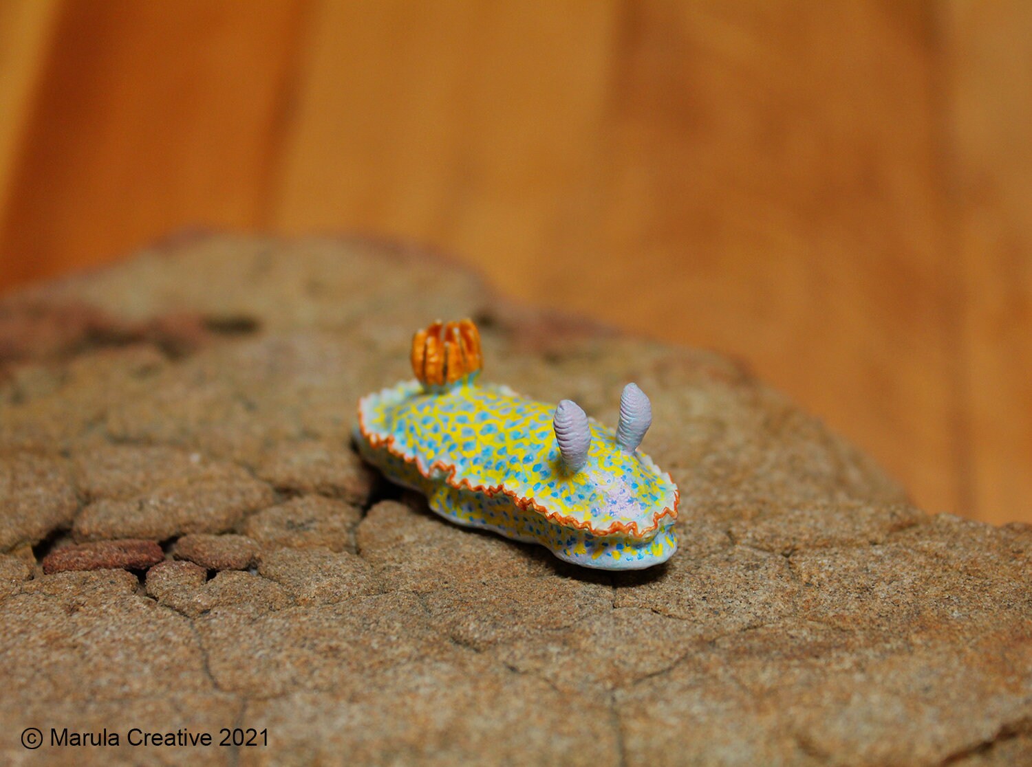 Crown the Nudibranch Hypselodoris acriba Gold-Crowned Sea | Etsy