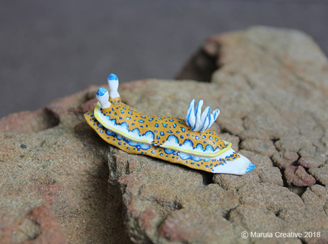 Olga the Nudibranch (felimare Olgae) - Etsy