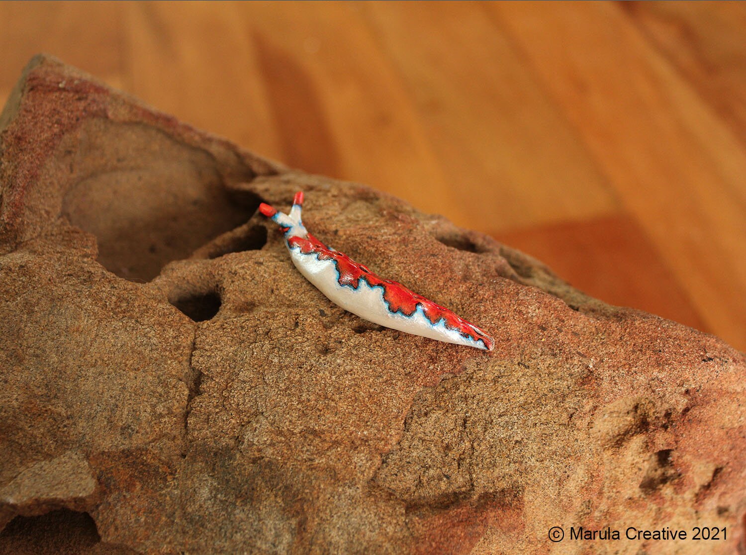 Dilla the Nudibranch Thuridilla undula | Etsy