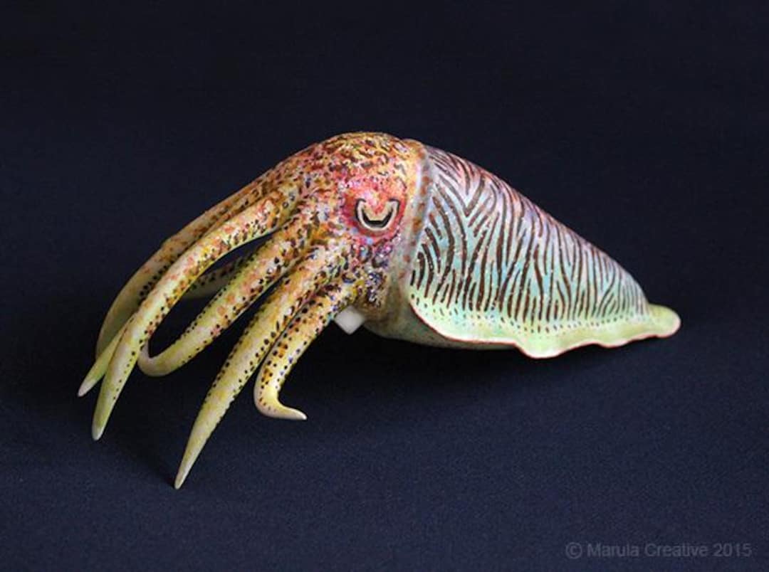 Cuttlefish - 3D Printed and Hand Painted - Etsy