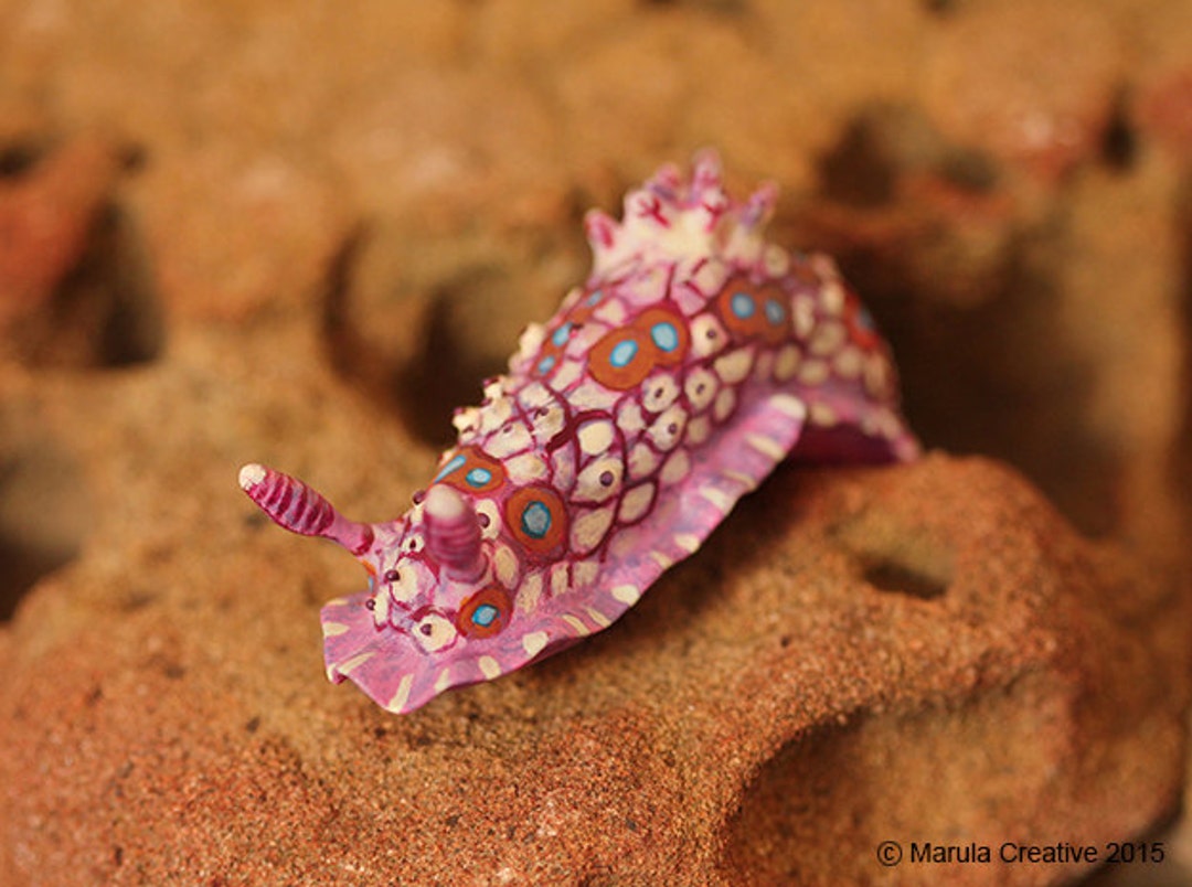 Doris the Nudibranch (dendrodoris Denisoni) - Etsy