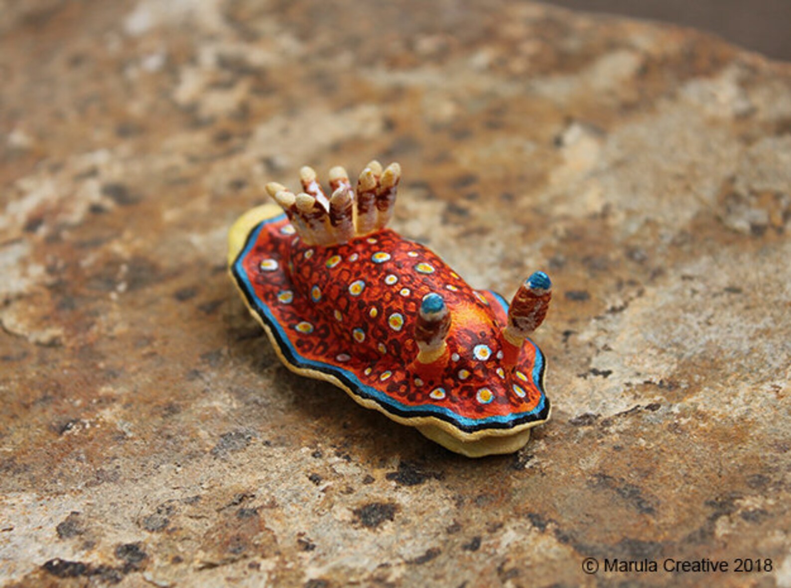 Charlot the Nudibranch (goniobranchus Charlottae) - Etsy
