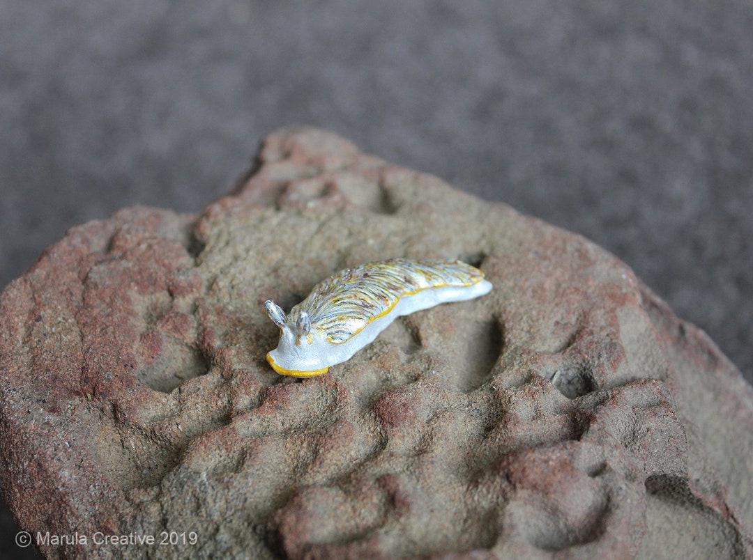 Diago the Nudibranch (dermatobranchus Diagonalis) - Etsy